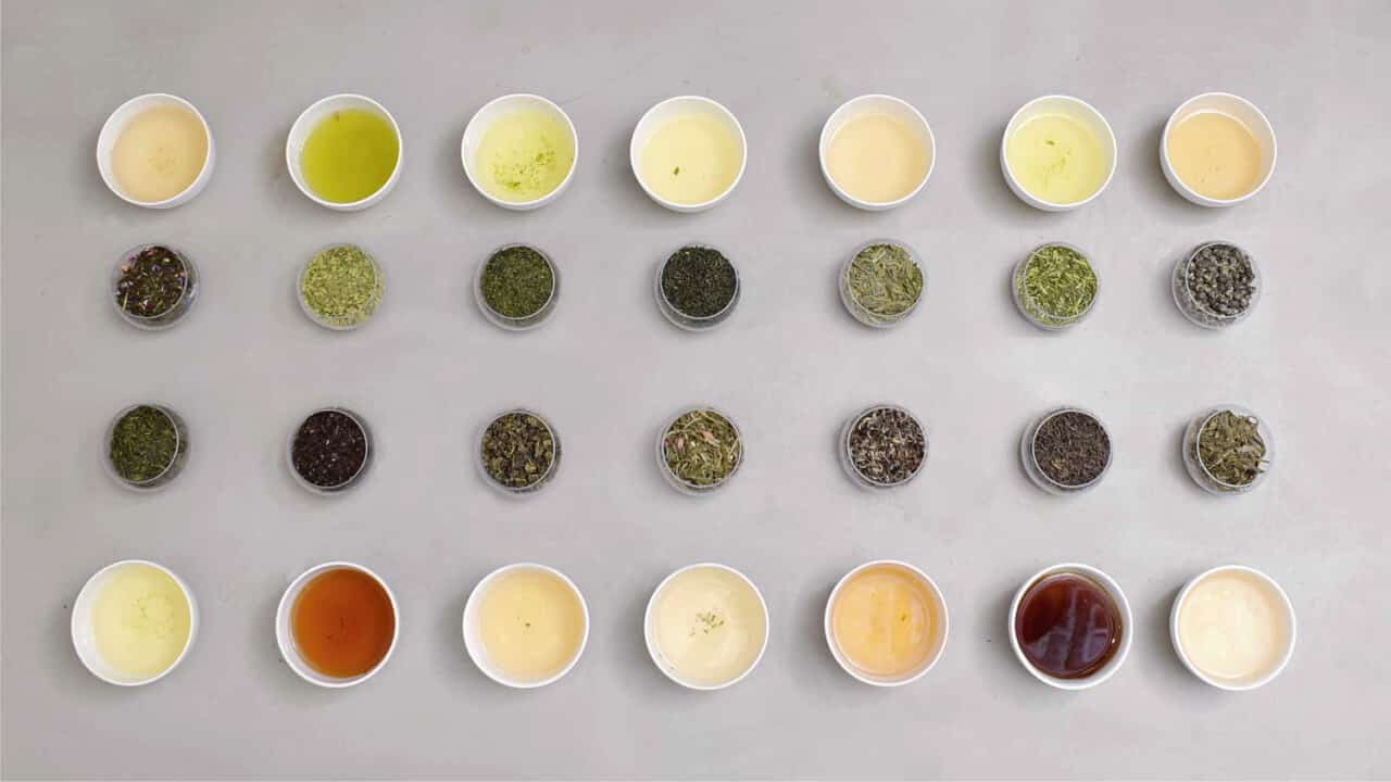 Los colores del té - Sans & Sans