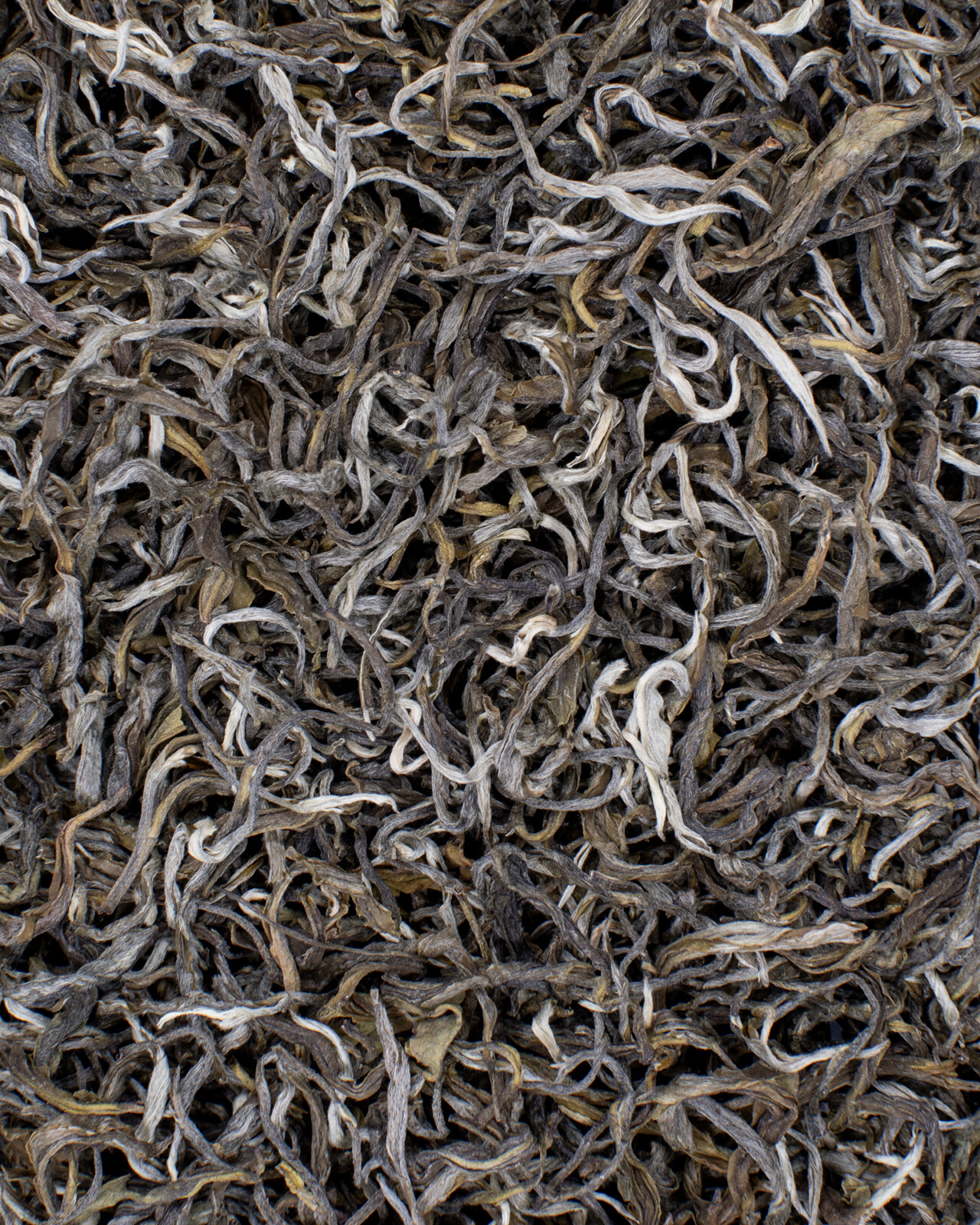 Yellow Mao Feng - Sans & Sans